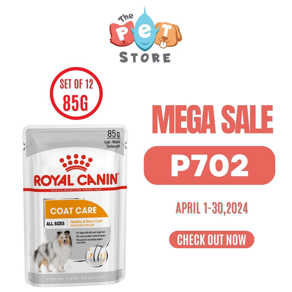 Royal Canin Coat Loaf 12's Adult Wet Dog Food (85G x 12 POUCHES ...