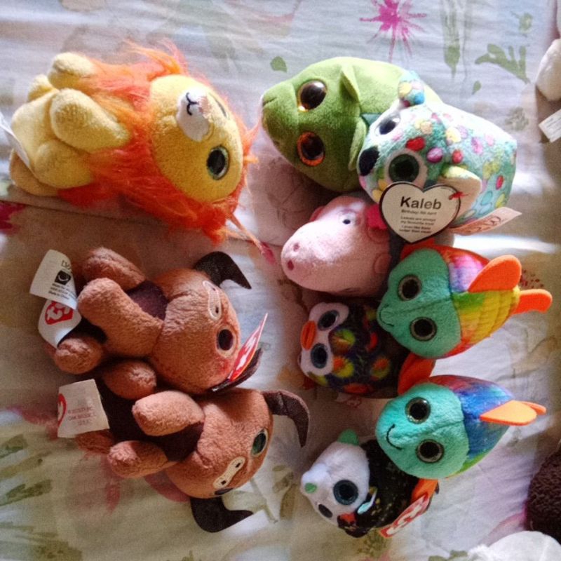 Ty Teeny small sizes take all 10 pcs | Shopee Philippines