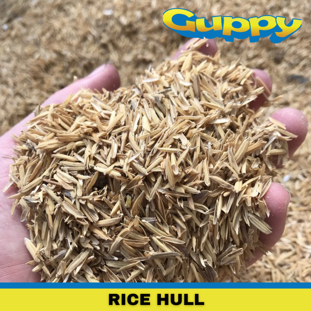 RICE HULL / IPA NG PALAY 100 GRAMS PER PACK | Shopee Philippines