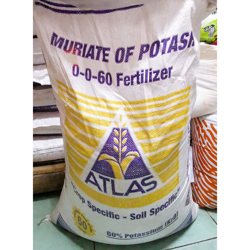 Atlas Muriate of Potash (MOP) 0-0-60 Fertlizer 1kg repacked | Shopee ...