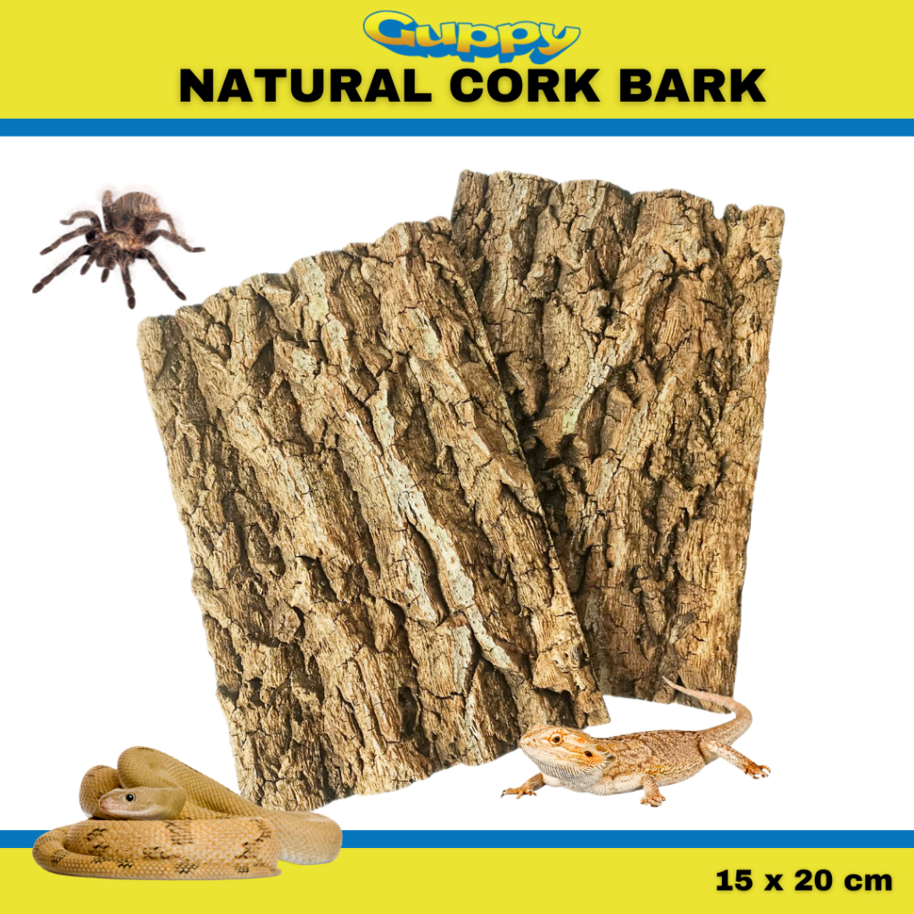 Reptile Cork Bark Natural Cork Bark Tarantula Hideout log 15 cm x 20 cm ...