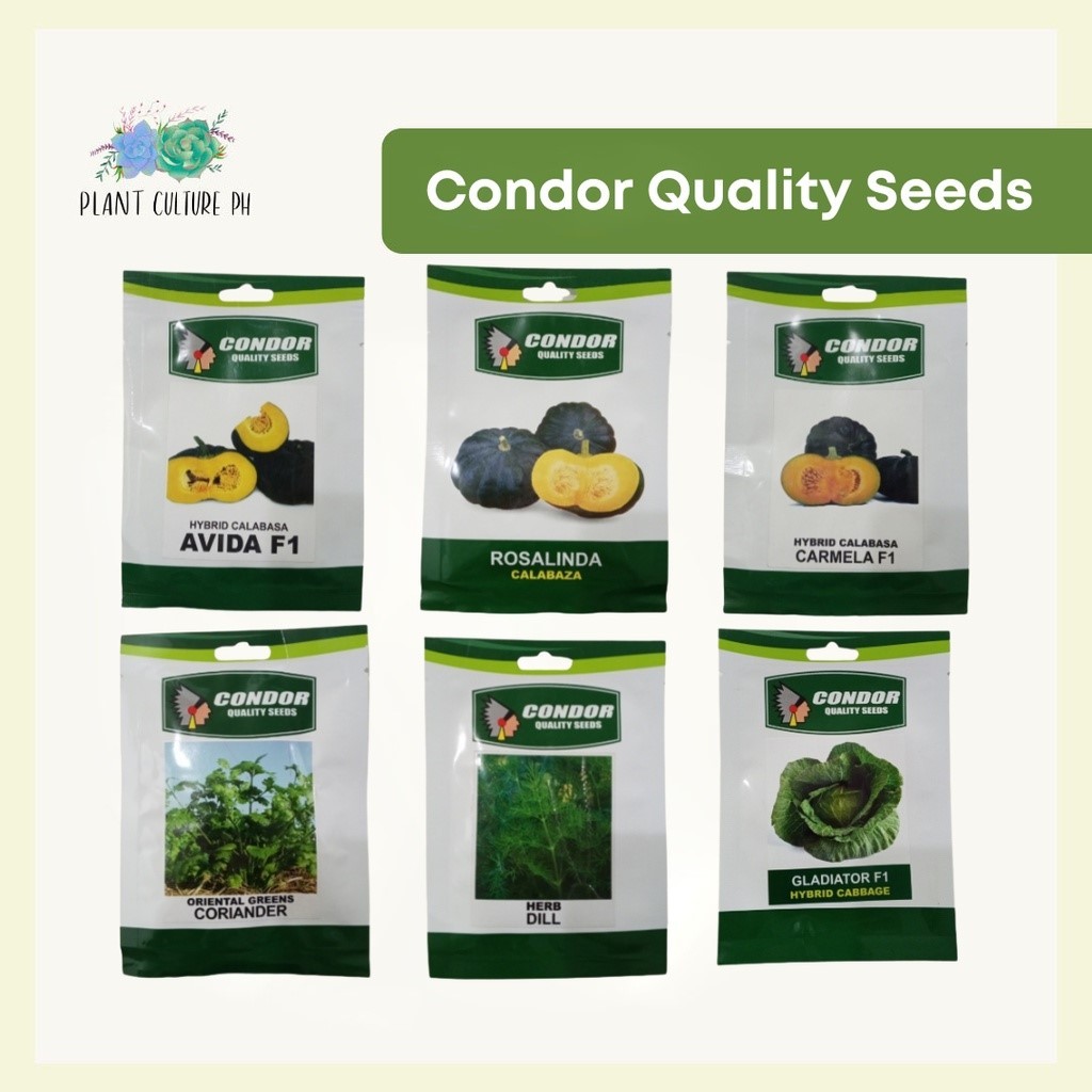 Condor Quality Seeds Varieties( Alfalfa, Black behi, Green Towers ...