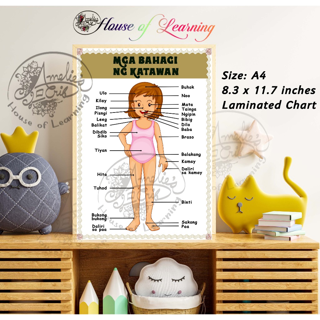 Filipino Educational Charts for kids / Tagalog Laminated A4: Alpabeto ...