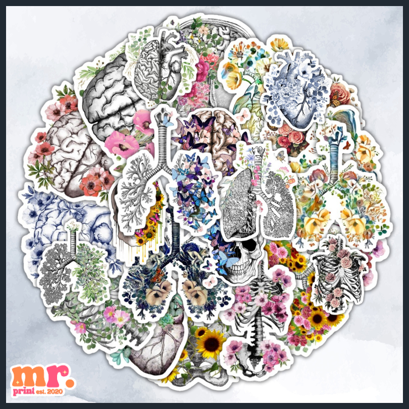 25 PCS| FLORAL ORGANS VOL 2 STICKERS HUMAN ANATOMY WATERPROOF STICKERS ...