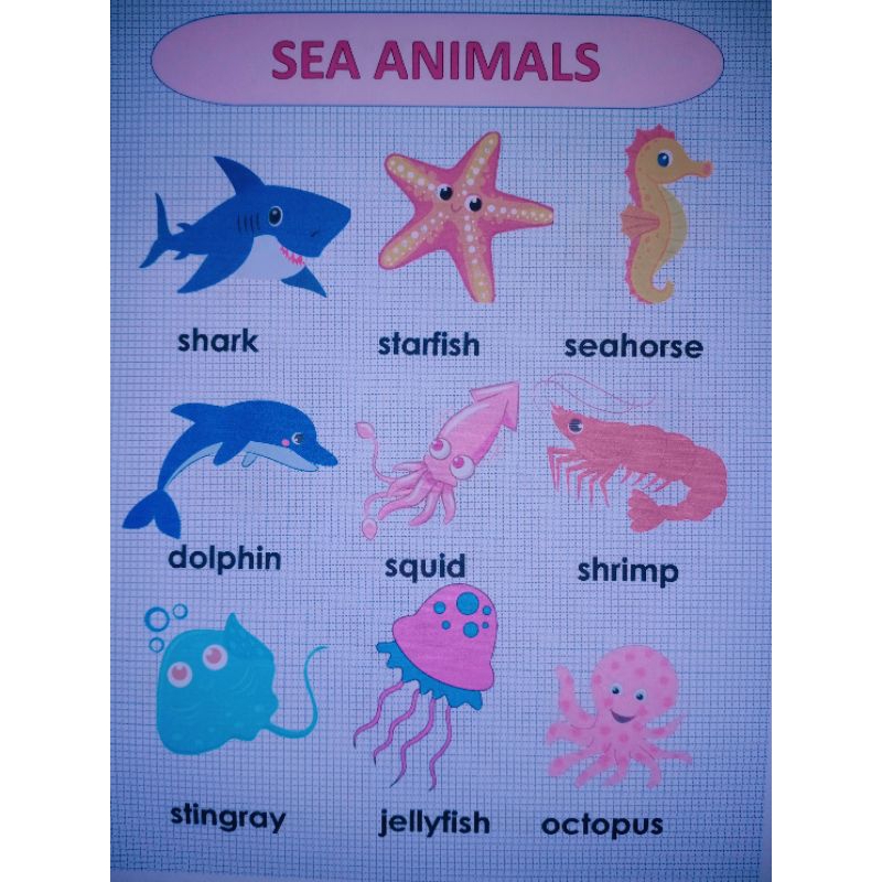 MGA CHART (LEARNING IS FUN) 21 PAGES | Shopee Philippines