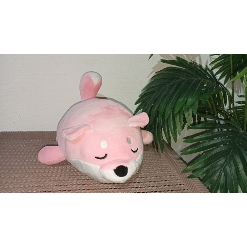 Shiba Mallow type Regular size | Shopee Philippines