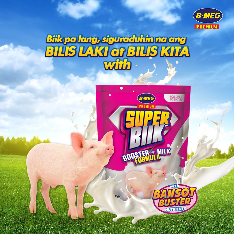 Booster+Milk Formula 1kg for PIGLETS Bmeg Super Biik Pig Piglet ...