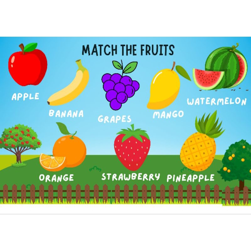 Fruits Shadow Matching Activity w/ Velcro for Kids Busy Books A4 Size ...