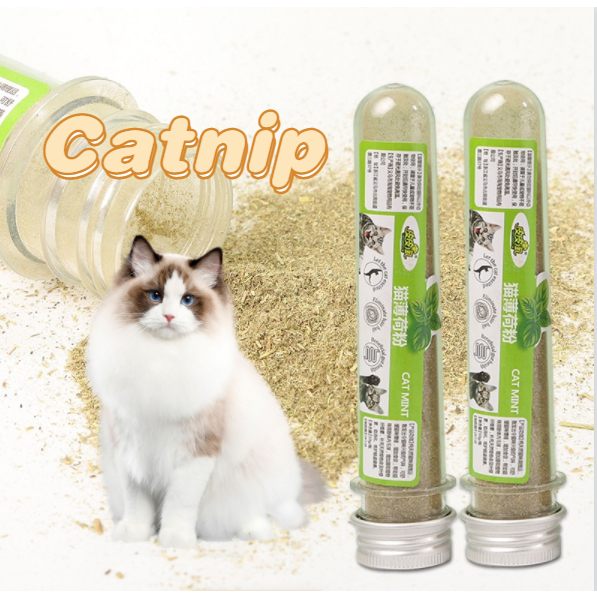 10g Cat Catnip For Cats Mint Powder | Shopee Philippines