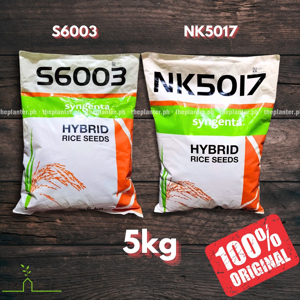 ( 5KG ) Syngenta NK5017 and S6003 RICE SEEDS | Shopee Philippines
