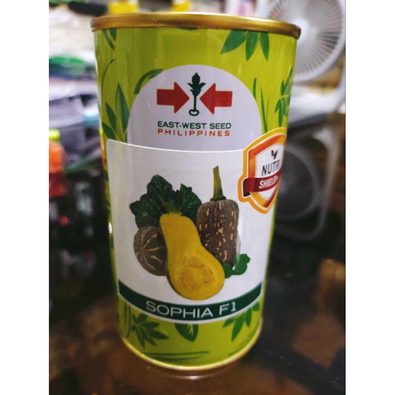 EASTWEST SOPHIA KALABASA SEEDS 100GRAMS (850 SEEDS) | Shopee Philippines