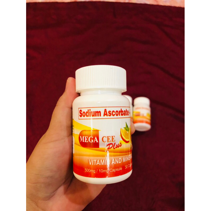 MEGA CEE PLUS VITAMIN AND MINERAL 30CAPSULES | Shopee Philippines