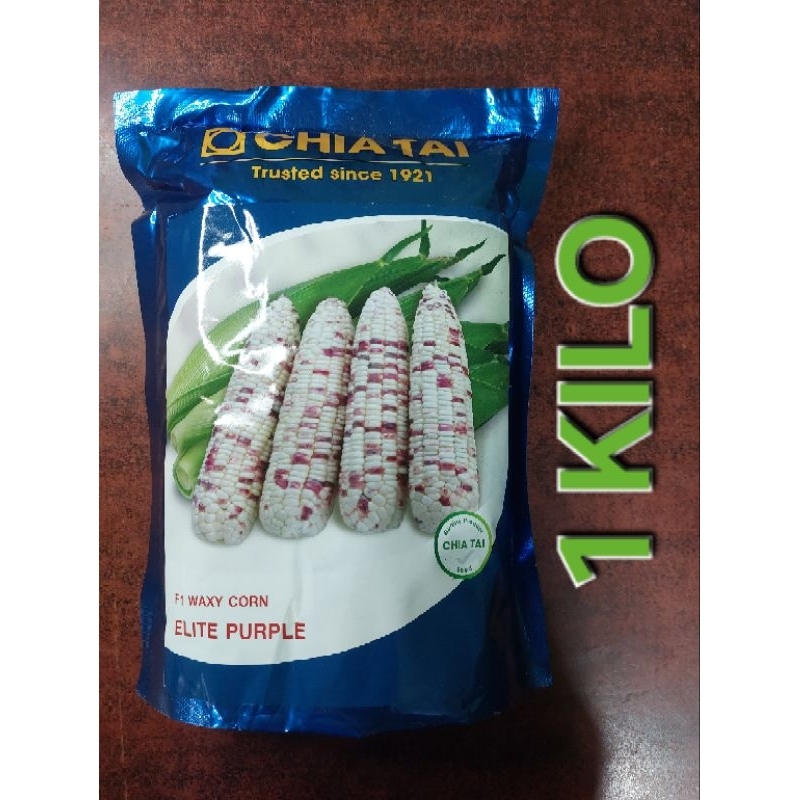 ELITE PURPLE F1 (1 KILO) HYBRID WAXY CORN / LAGKITAN SEEDS BY CHIA TAI ...