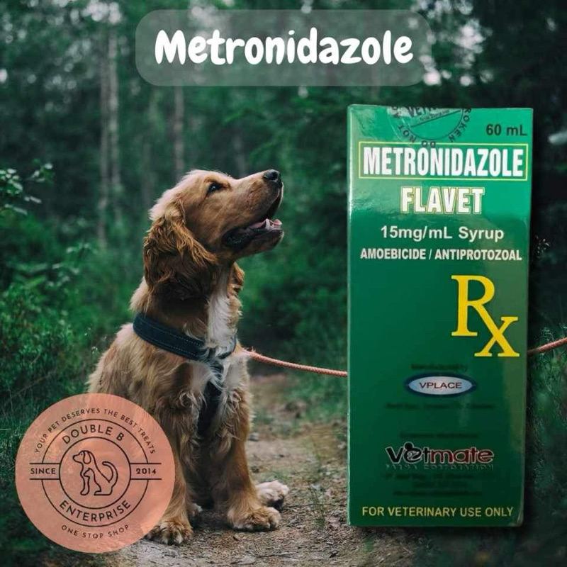 Flavet (Metronidazole) | Shopee Philippines
