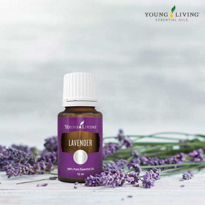 Young Living Lavender Essential Oil Shopee Philippines