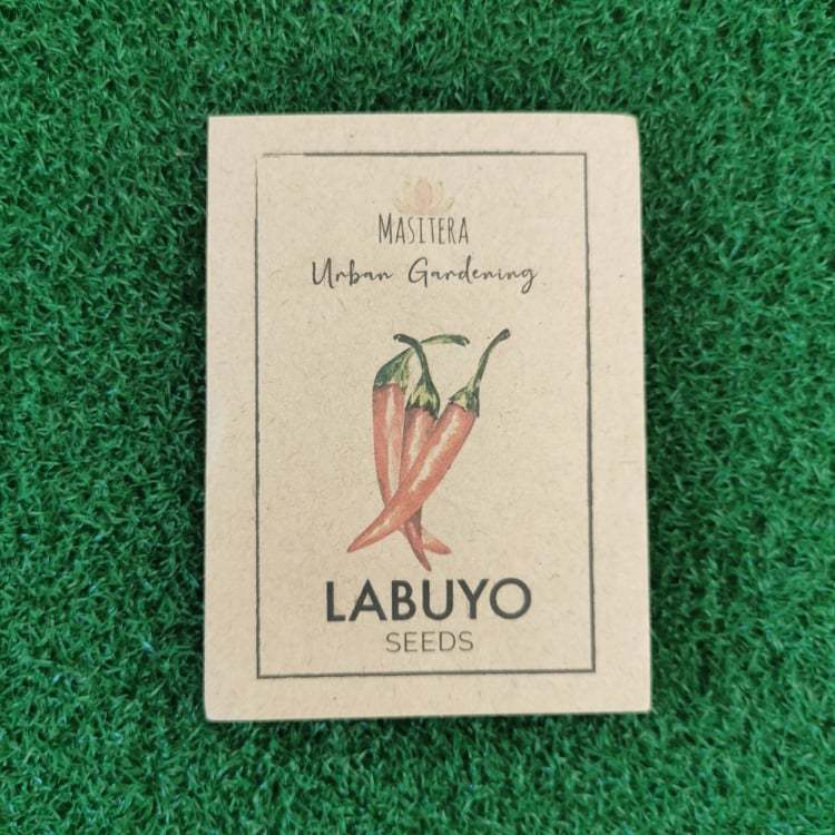 Masitera Siling Labuyo Seeds | Shopee Philippines