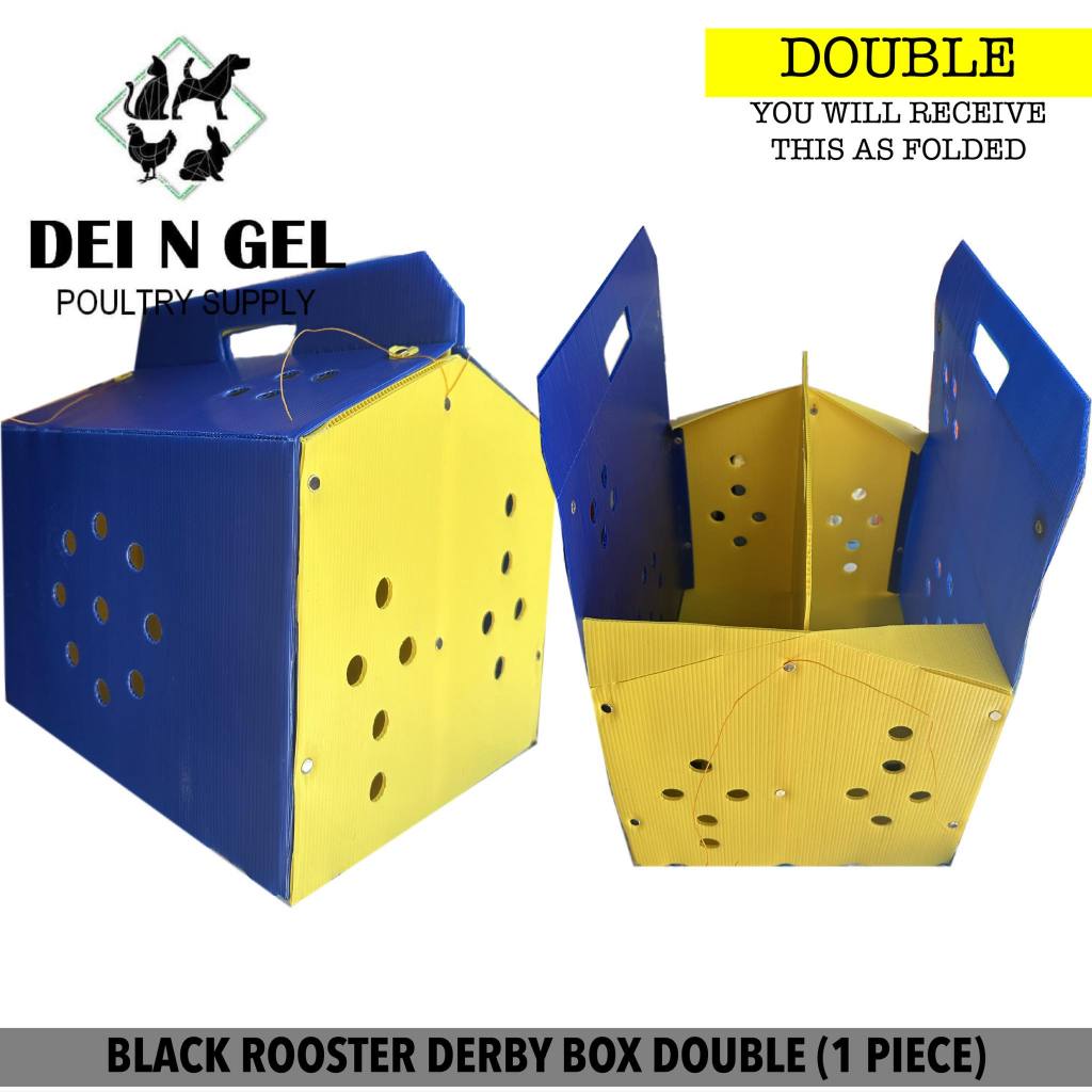 DERBY BOX DOUBLE FOR GAMEFOWL - HIGH QUALITY PLASTIC (COLOR DEPENDS ON ...