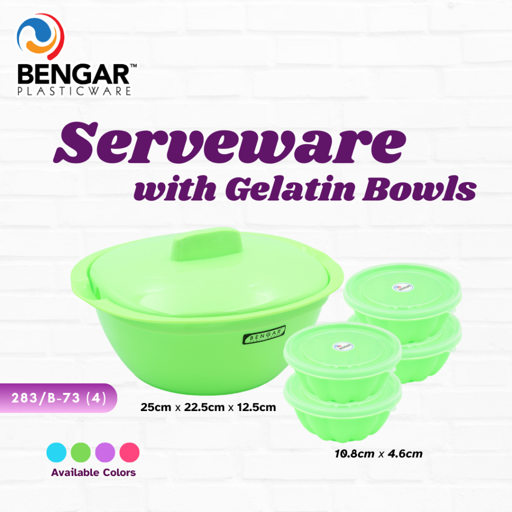 BENGAR PLASTICWARE Multi-Purpose Server Ware Food Storage Bowl Keeper ...