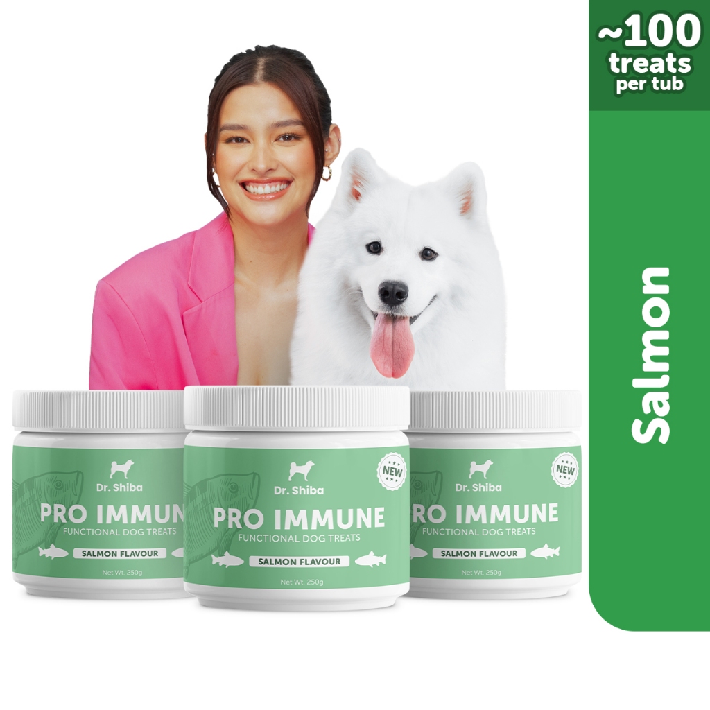 Dr Shiba Pro Immune Healthy Dog Treats Snack: Dog Multivitamins - Dog ...