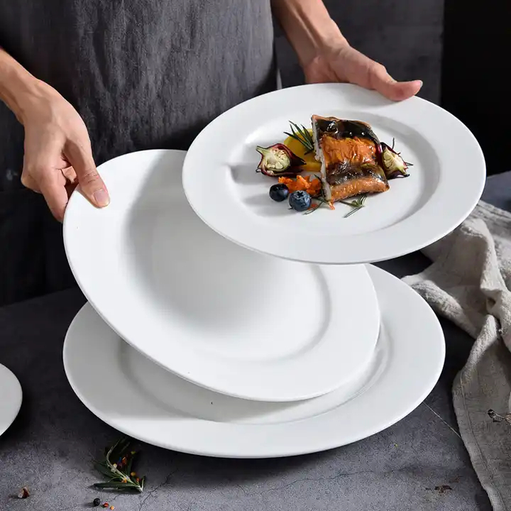 FAMILIFE 3/6pcs Ceramic Dinner Plates Tableware 8" Classic Looking ...