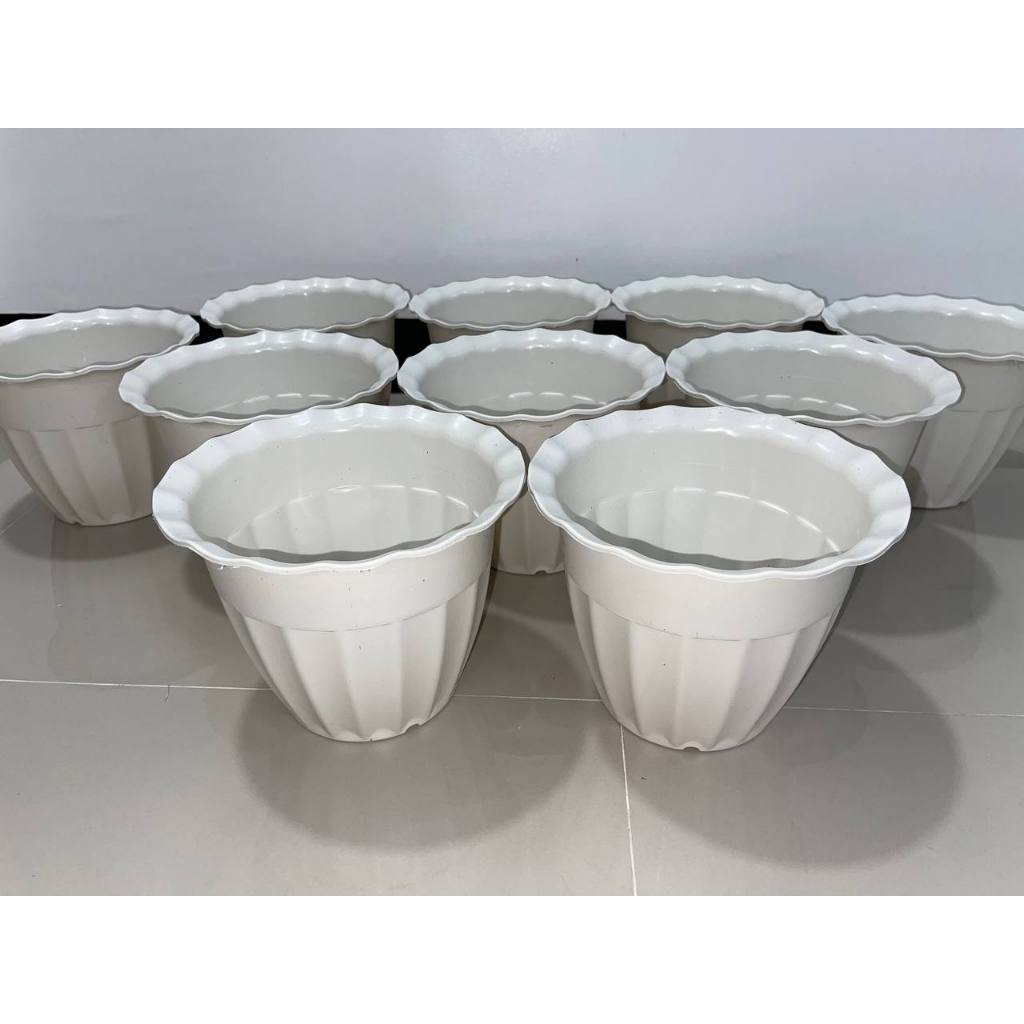 10 pieces paso 8x6" (PHP230 ONLY) - 23 pesos indoor & outdoor pots for ...