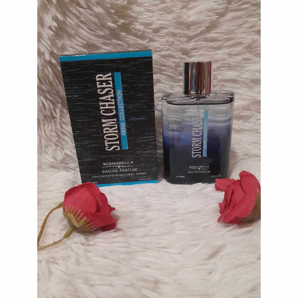 NEW STORM CHASER PERFUME SPRAY FOR MEN 100ML | Shopee Philippines