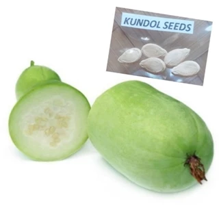 Shop kundol for Sale on Shopee Philippines