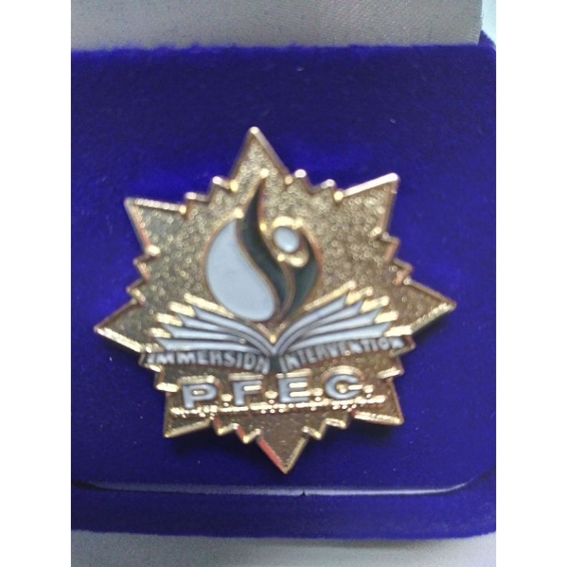 PUBLIC FIRE EDUCATION COURSE (PFEC) PIN | Shopee Philippines