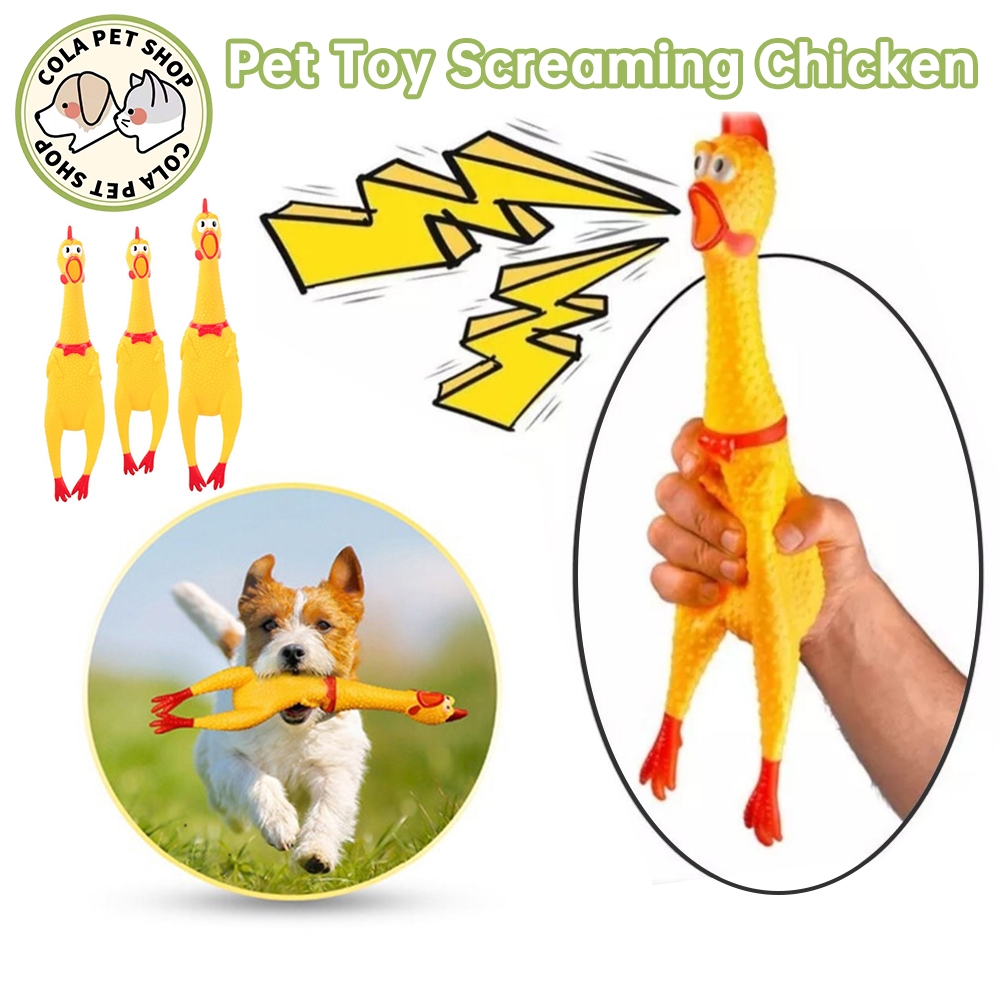 Dog Toy Screaming Chicken Toy with Sound Pet Cat Dog Toy Squeak ...