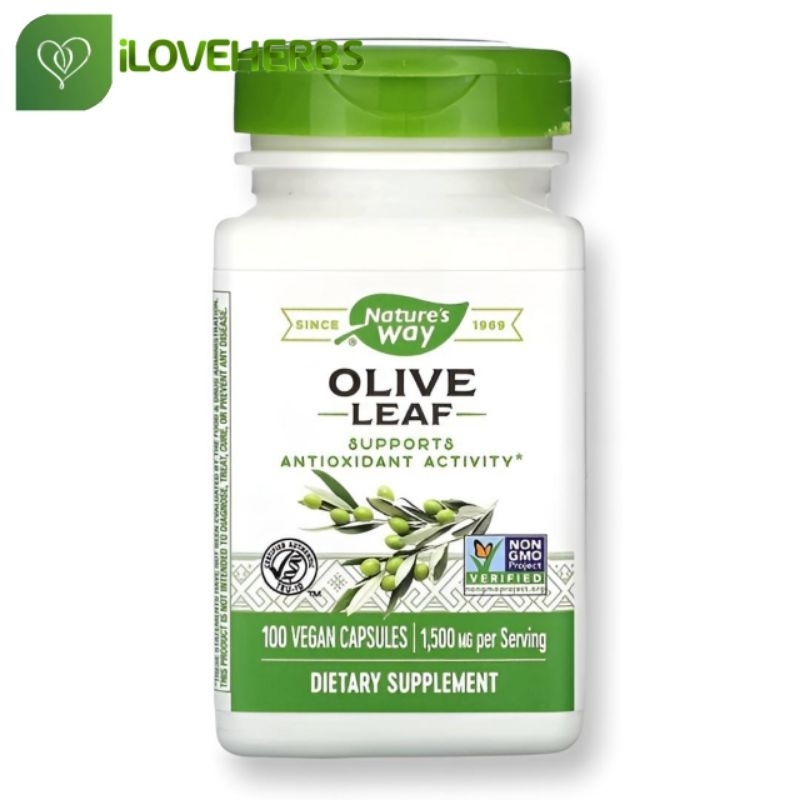 Olive Leaf, 1,500 mg, 100 Vegan Capsules (500 mg per Capsule) | Shopee ...