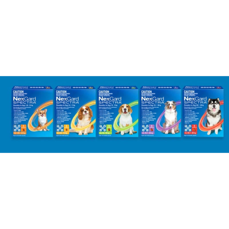 Nexgard Spectra Anti-Tick & Flea For Dogs with Stickers 2026 Expiry ...