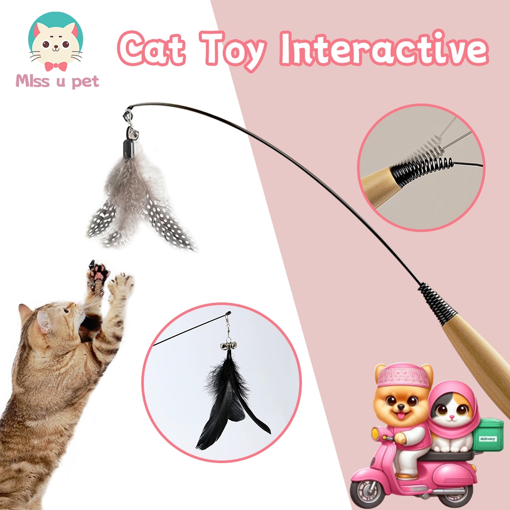 Cat Teaser Cat Toys Interactive Teaser Wand Chasing Toy | Shopee ...