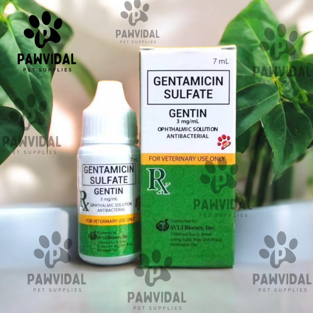 Gentin Eye Drops 7mL | Shopee Philippines