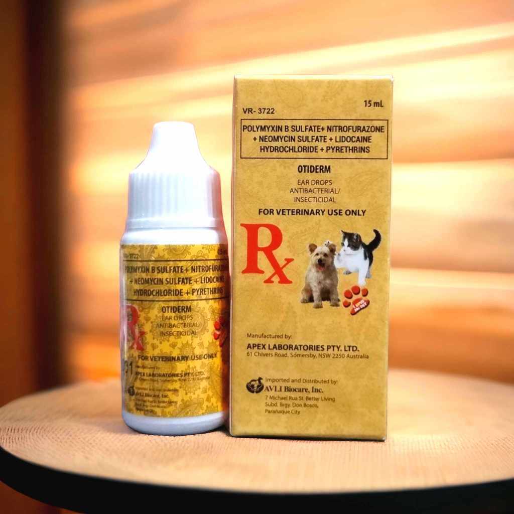 Otiderm Ear Drops 15mL | Shopee Philippines