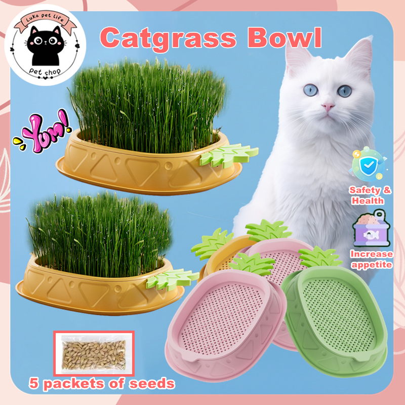 Pet Cat Grass Planting Pot Grow Box Catnip Grass Kit Without Soil Cat Grass Hydroponic with Tray ...
