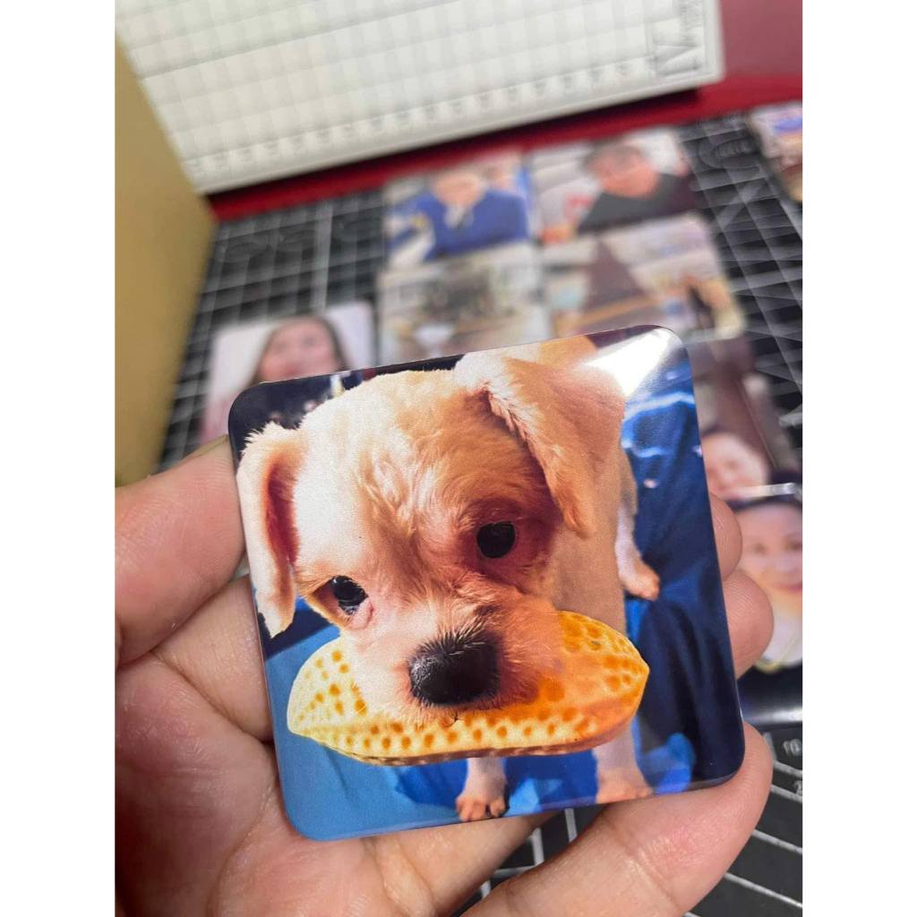 Square Photo Magnets or Ref Magnets | Shopee Philippines