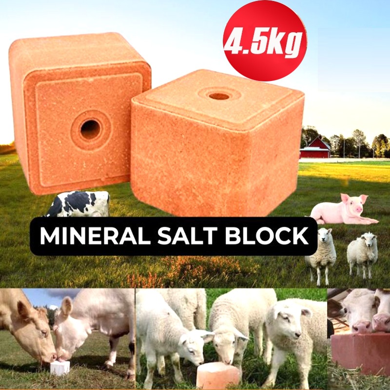 4.5kg Himalayan salt block Mineral block Goat salt block Animal licks ...