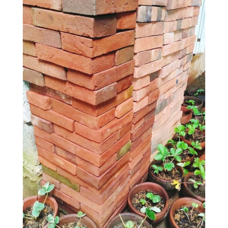 Clay Bricks Natural 30pcs per bundle 1x3x8 Inches | Shopee Philippines