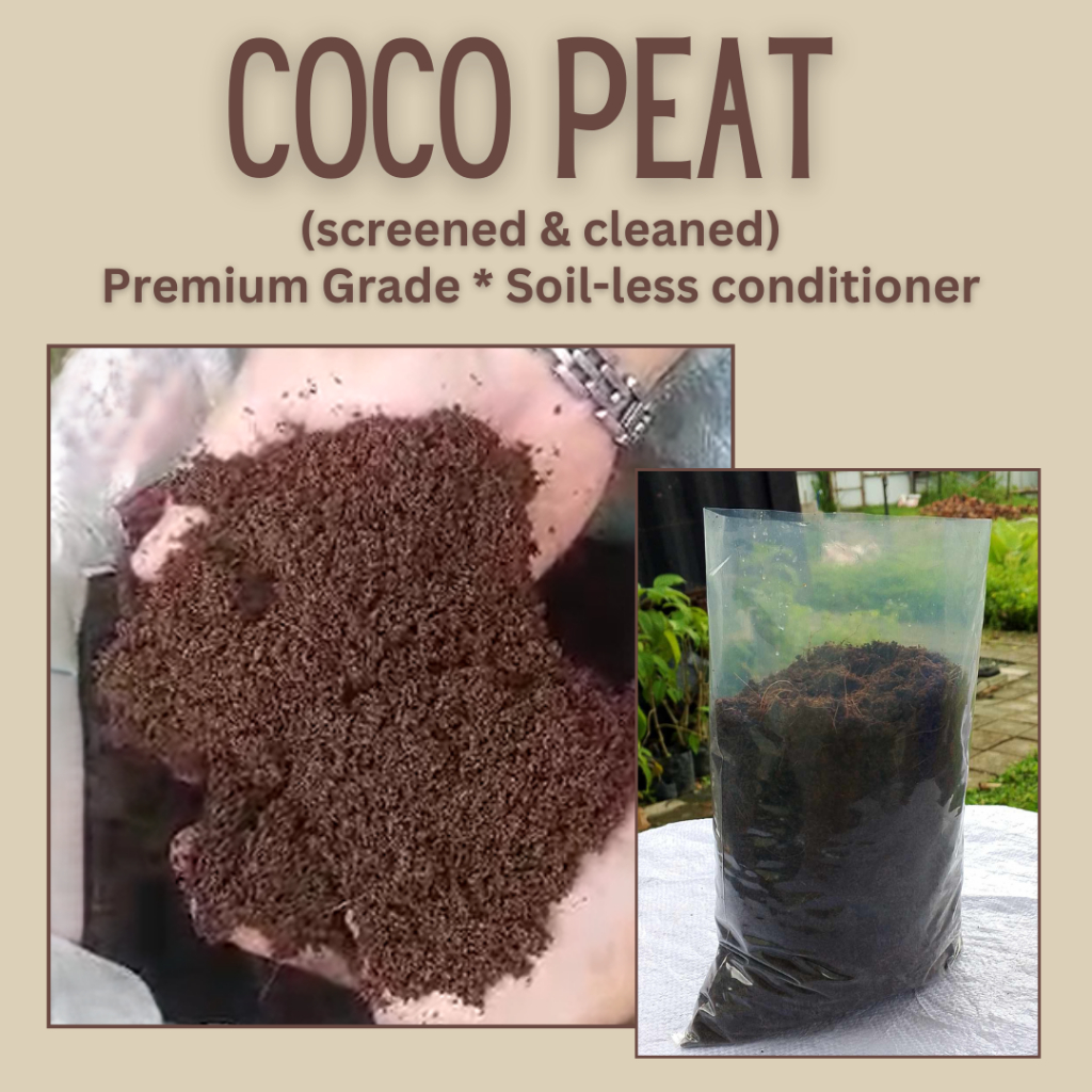 Cocopeat, Coco Pith, Coco Coir (screened and cleaned) Soil Conditioner ...