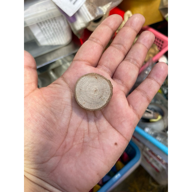 Sinag Araw na kahoy pampaswerte | Shopee Philippines