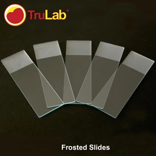 microscope glass slides - Best Prices and Online Promos - Oct 2024 ...