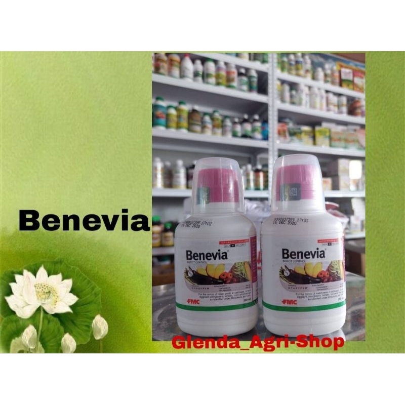 BENEVIA INSECT CONTROL CYANTRANILIPROLE BY: FMC - 250 ML | Shopee ...