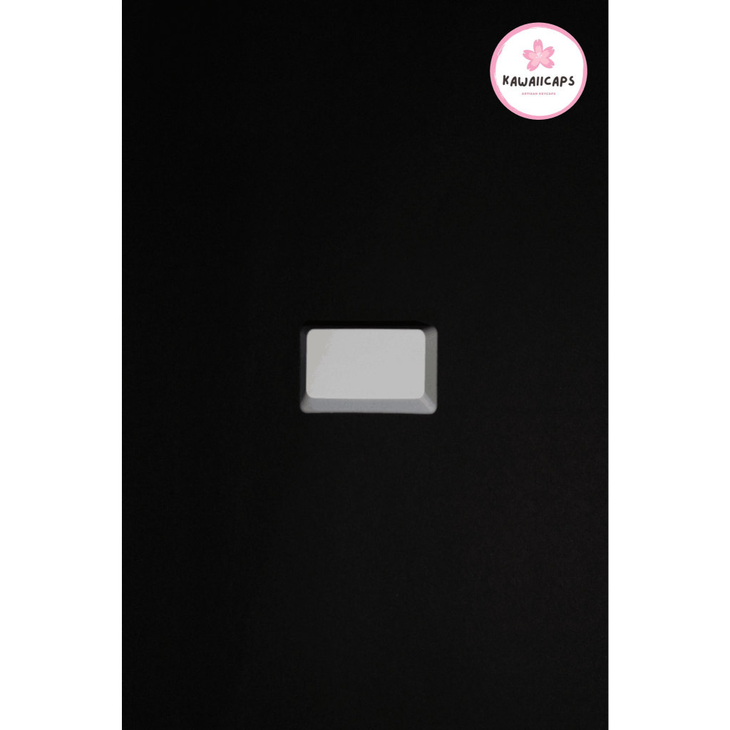 OEM White PBT Blank Keycaps for Mechanical Keyboards - R3 1.5u | Shopee ...
