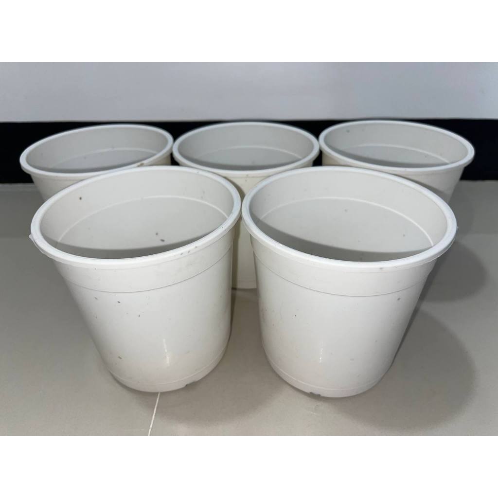 5 pieces white round plant pot - 6x6" - puti paso 40 pesos each only ...