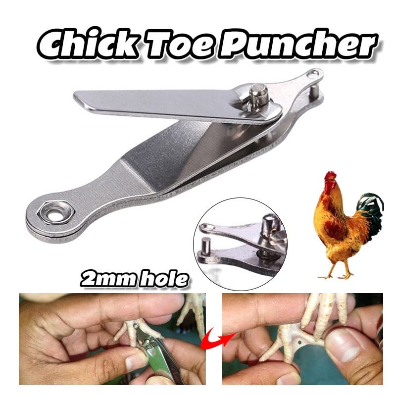 3 IN 1 Gamefowl kit 2mm Toe puncher for chicks Chicken feet puncher ...