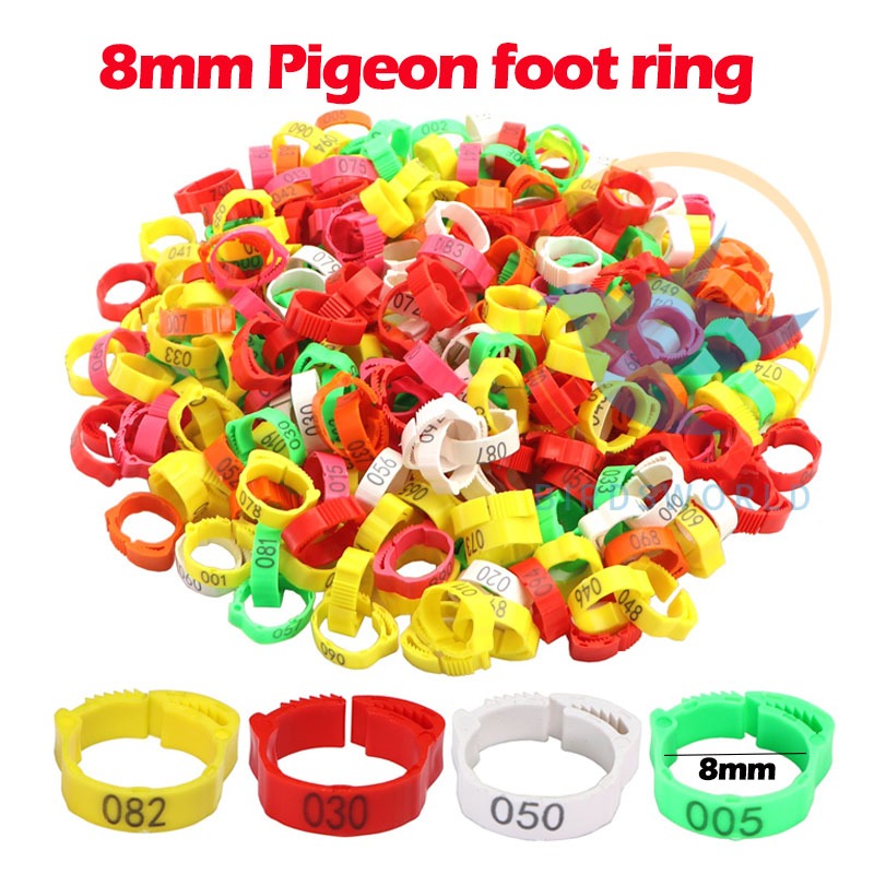 100Pcs Pigeon clip ring 8mm adjustable pigeon foot ring Leg ring ...