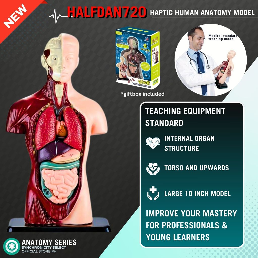 HALFDAN720 Human Anatomy Model - 8 Pcs Removable Human Body Model ...