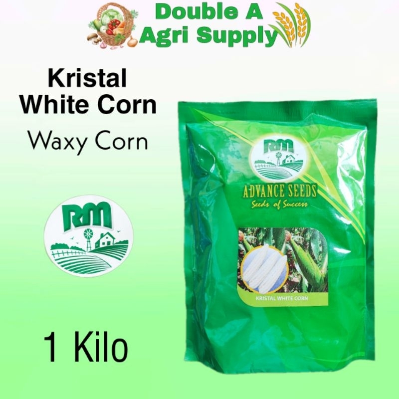 Kristal White Corn / Waxy Corn / Lagkitan - RM Advance Seeds | Shopee Philippines