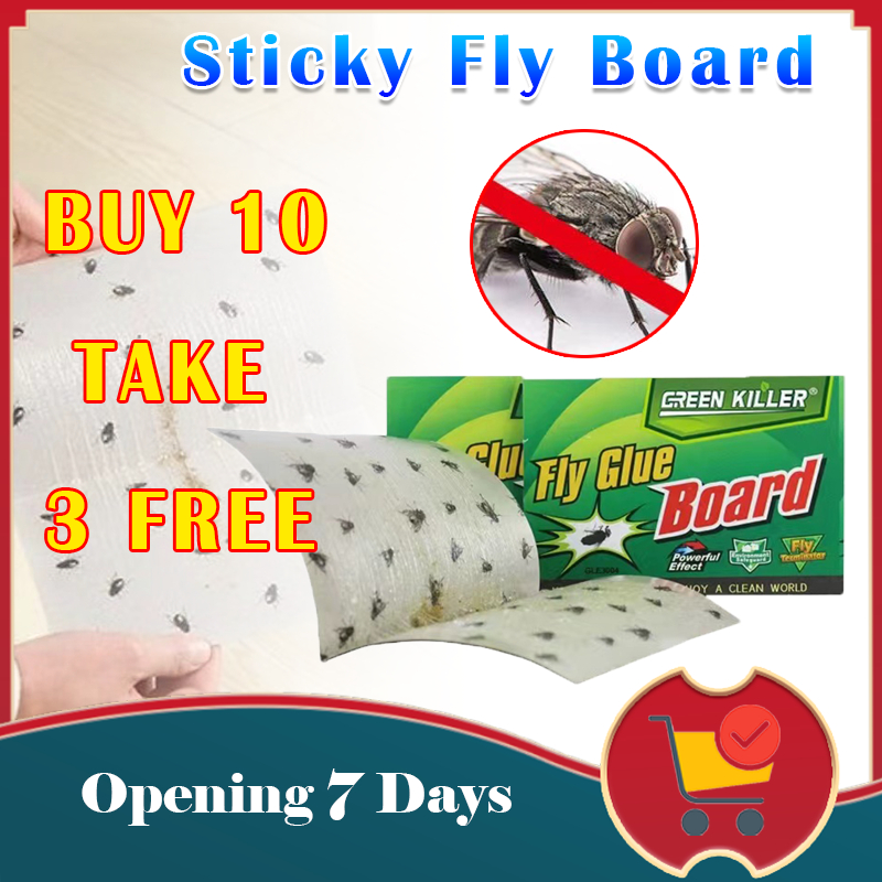 Fly Catcher Glue Board Fly Trap Board Traps Fruit Flies Kitchen Flies ...