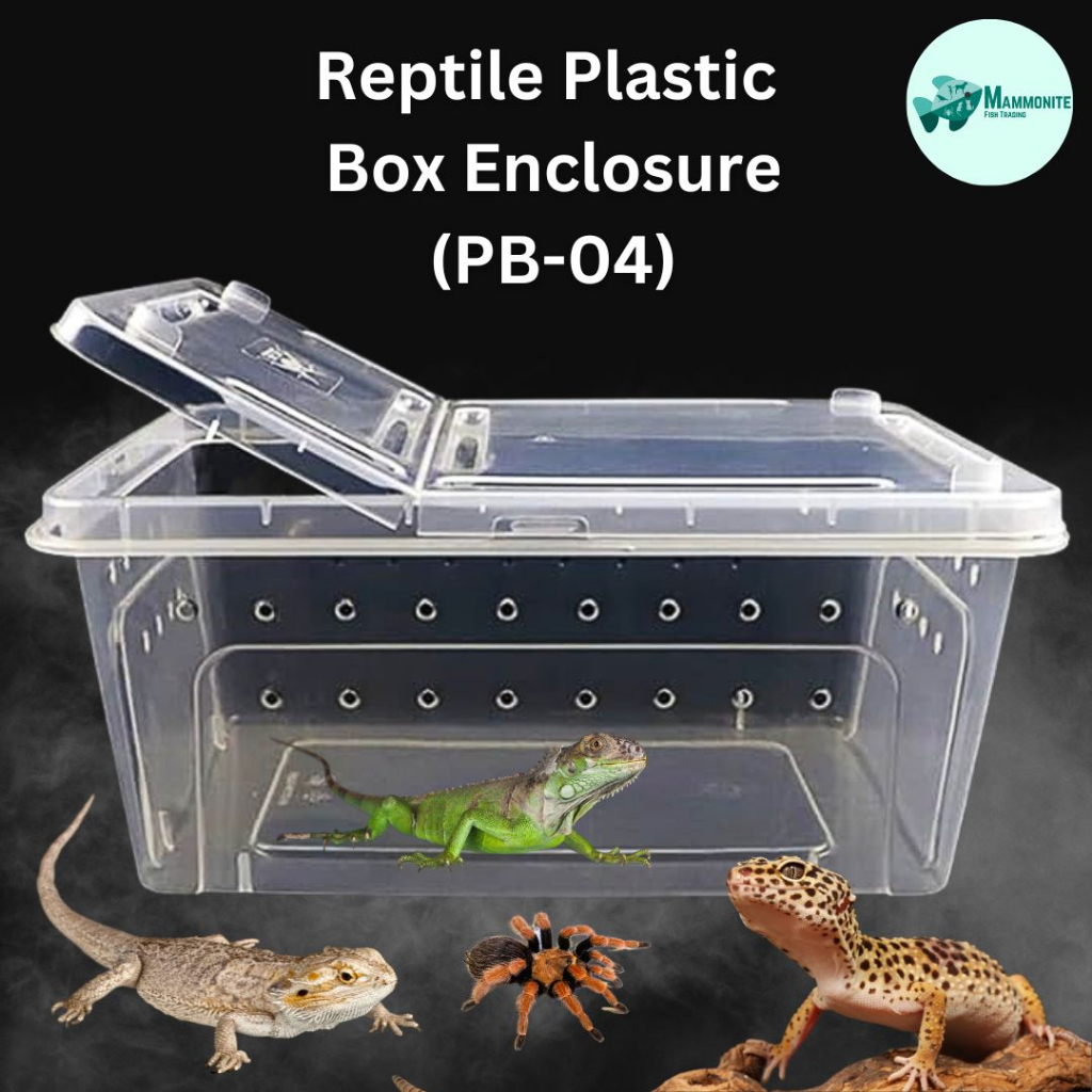 PB-04 Plastic Transparent Amphibian Insect Reptile Breeding Box ...